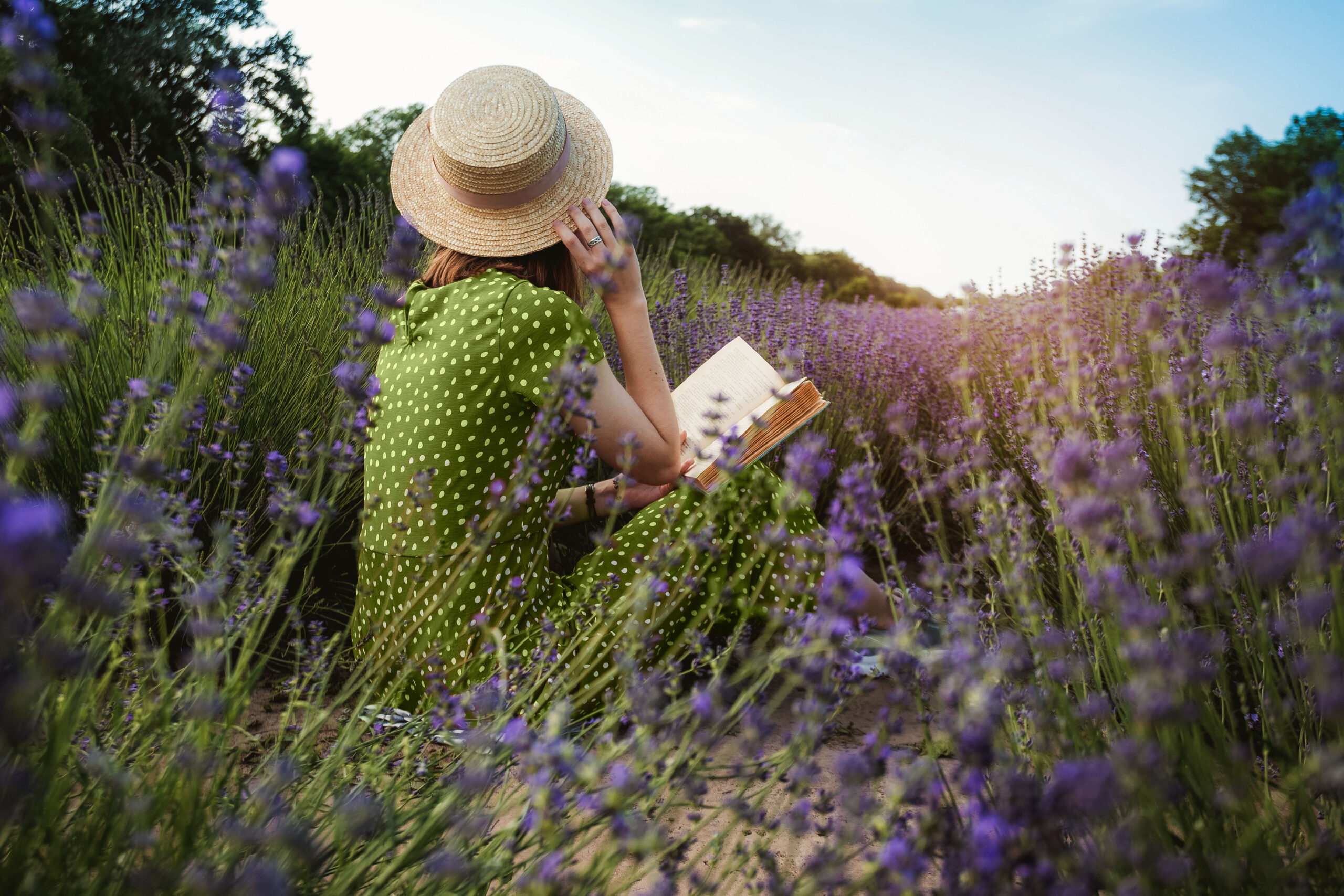 Dream Big A Guest Post By Lucille Williams Hannah Linder Books
